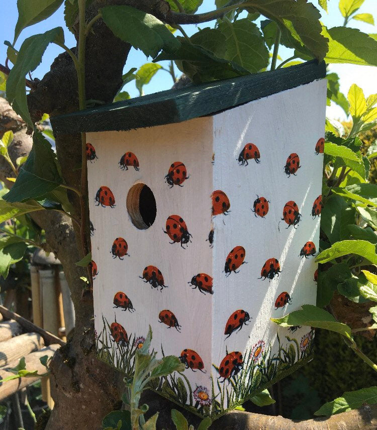 Ladybird bird box – Mrs Wreath Designs Uk